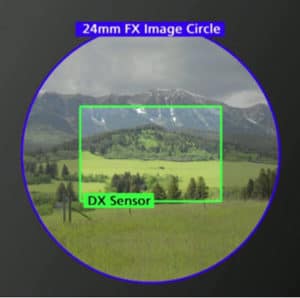Nikon erklärt: FX-Format und DX-Format › Netzwerk Fotografie