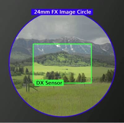 Nikon erklärt: FX-Format und DX-Format › Netzwerk Fotografie