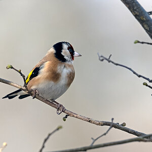 NIKON Z 7_2_2023_02_09_10_51_Z72_0083.jpg | Netzwerk Fotografie Community