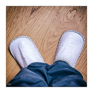 299/365 Angus Stone and Julia Stone – Take Me Home © 2025 Sabine ...