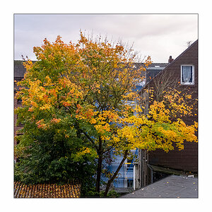 299/365 Angus Stone and Julia Stone – Take Me Home © 2025 Sabine ...